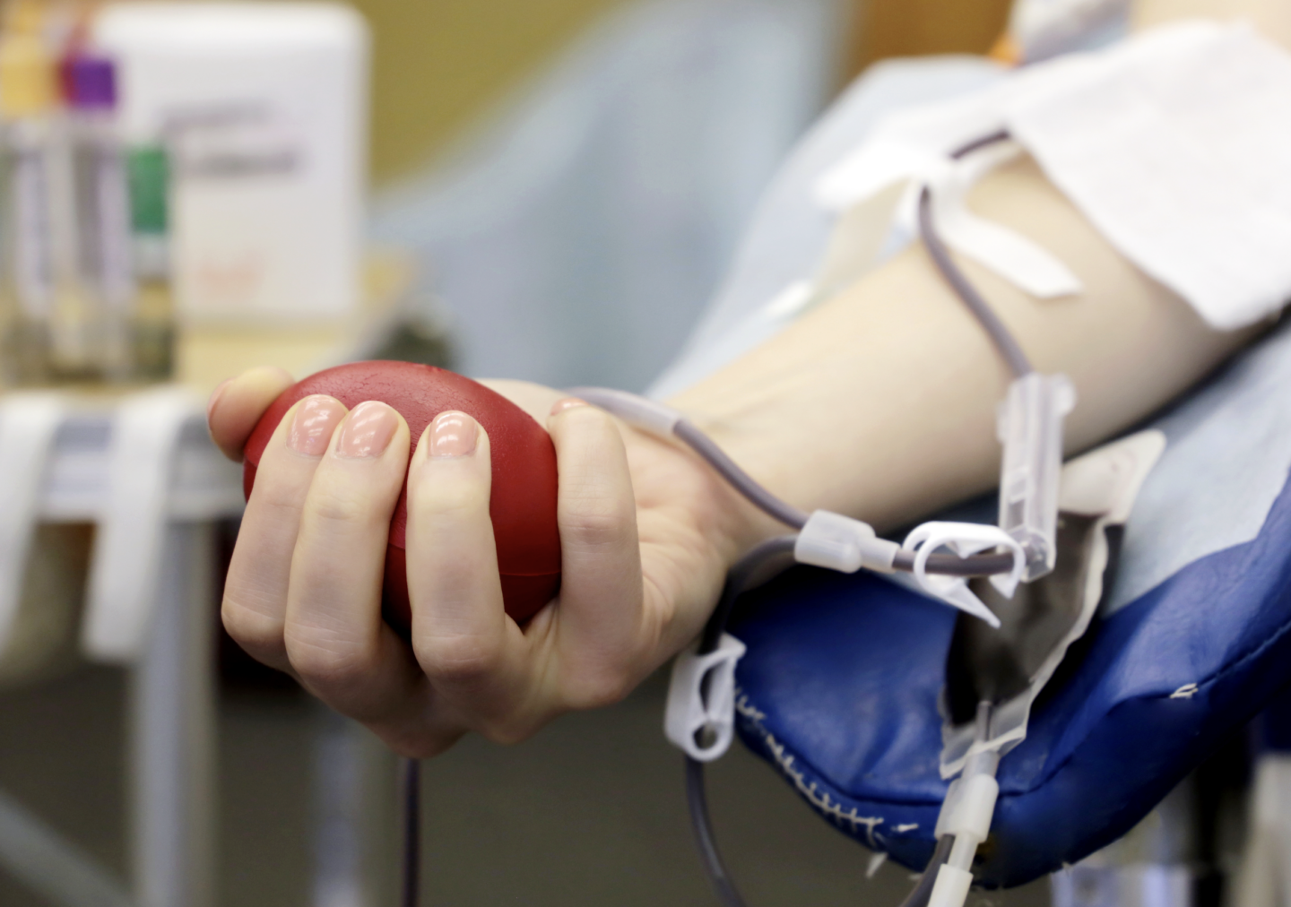 Werfen | Leading Provider Of Transfusion & Transplantation Diagnostic ...