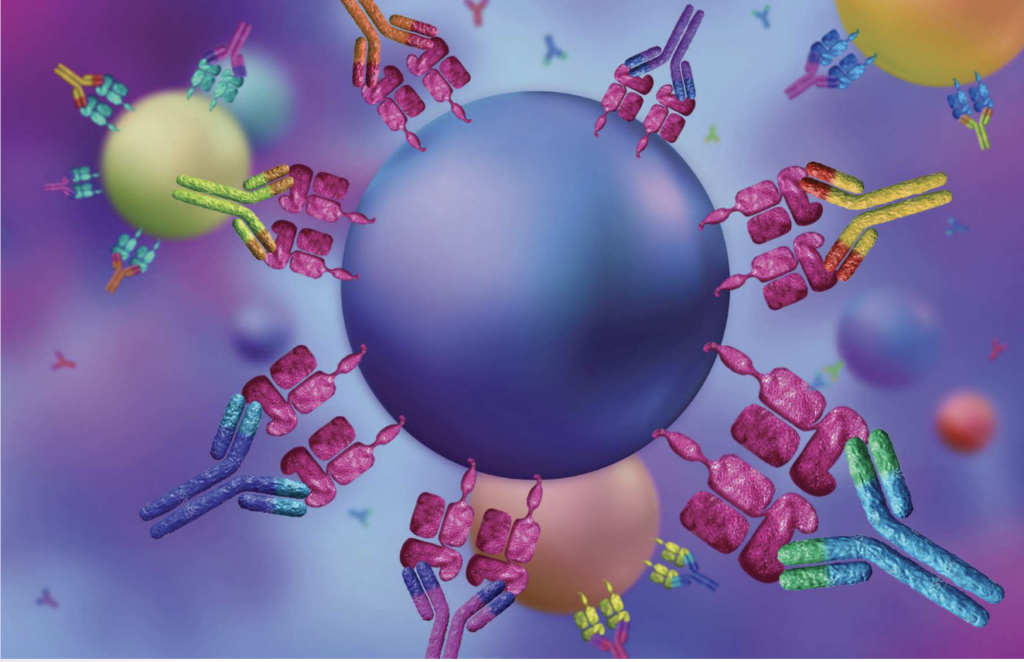 Antibody Testing Assays | Transplant | Immucor