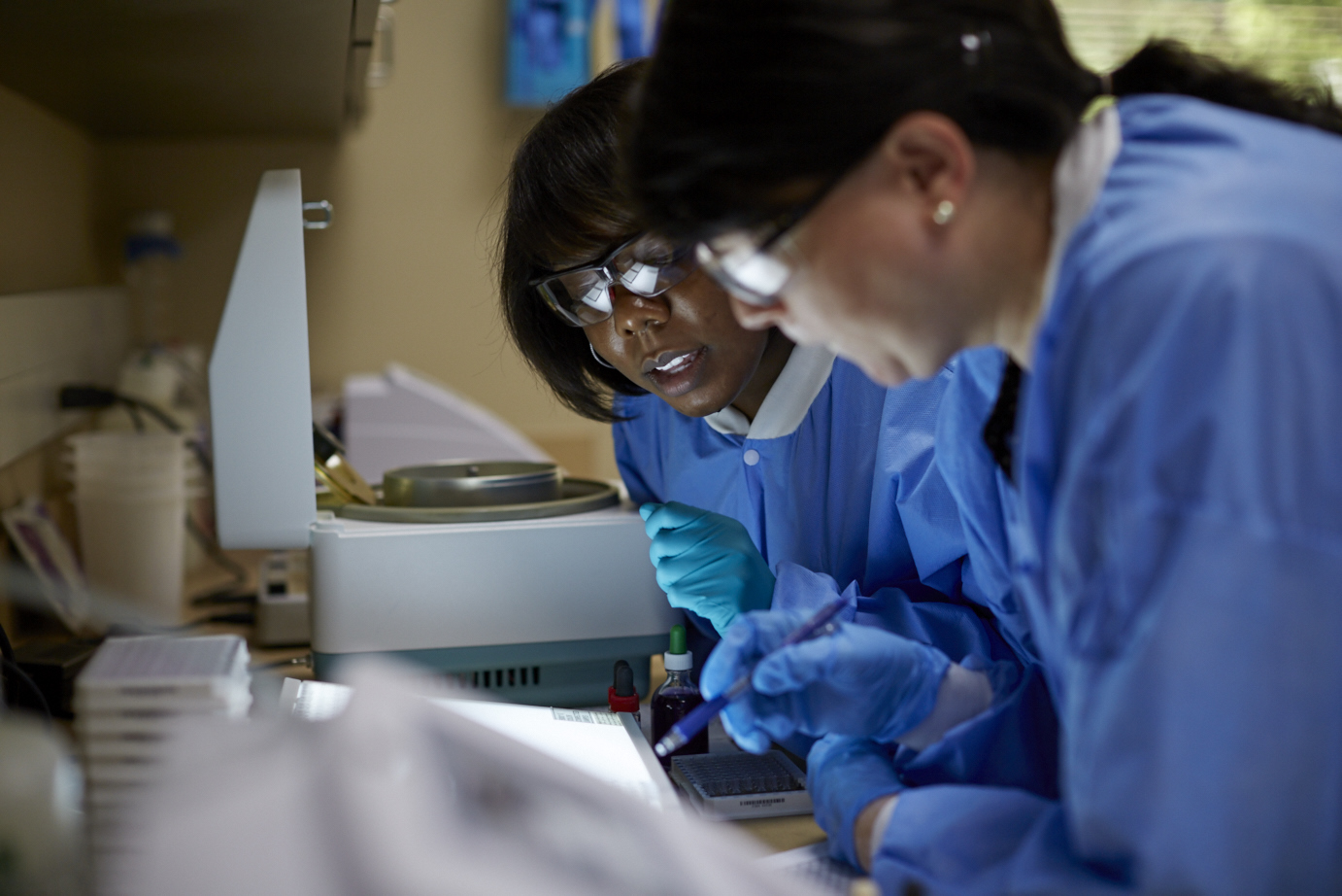 Werfen | Leading Provider Of Transfusion & Transplantation Diagnostic ...