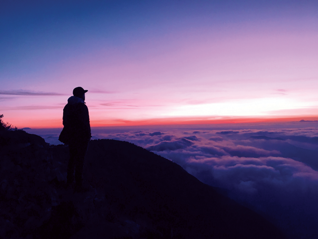 Automated Monoclonal Jka and Jkb Phenotype Testing is now Available on ...